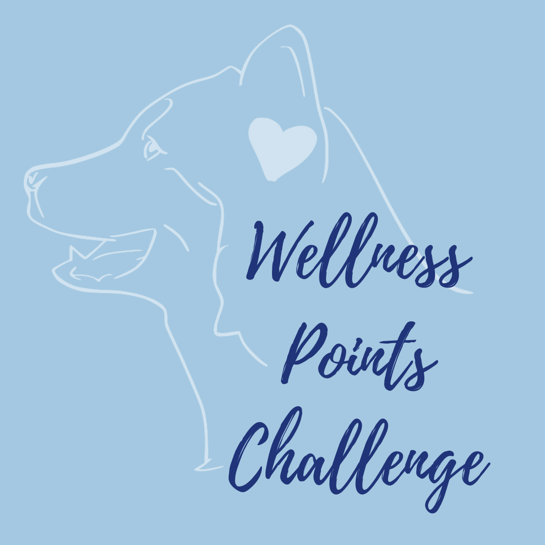 Programs & Events | Student Health and Wellness